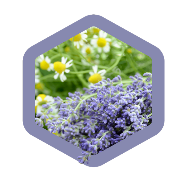 Custom Shampoo & Conditioner - Designed by Your Own Personal Chemist ...